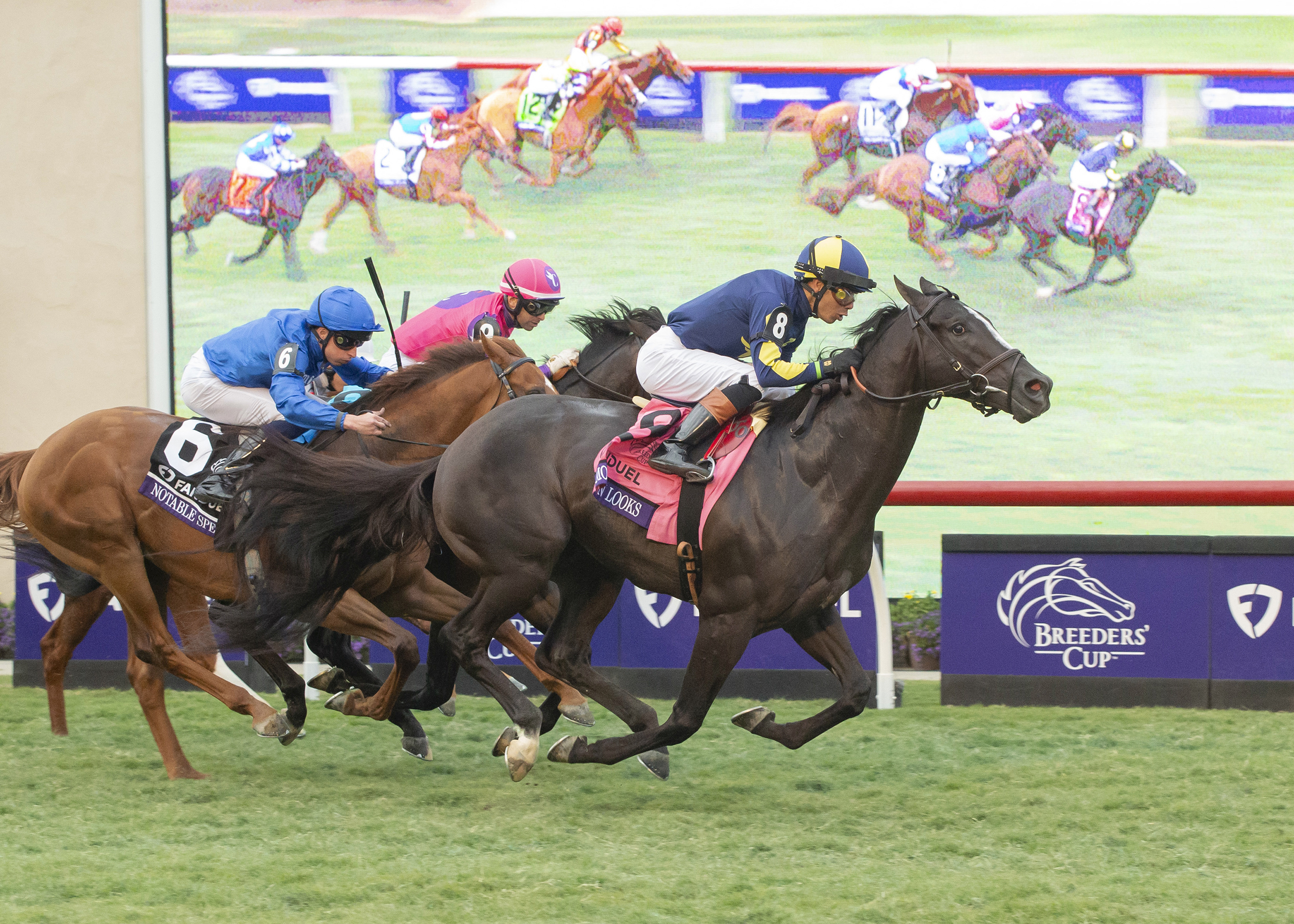 More Than Looks Takes Fanduel Breeders Cup Mile